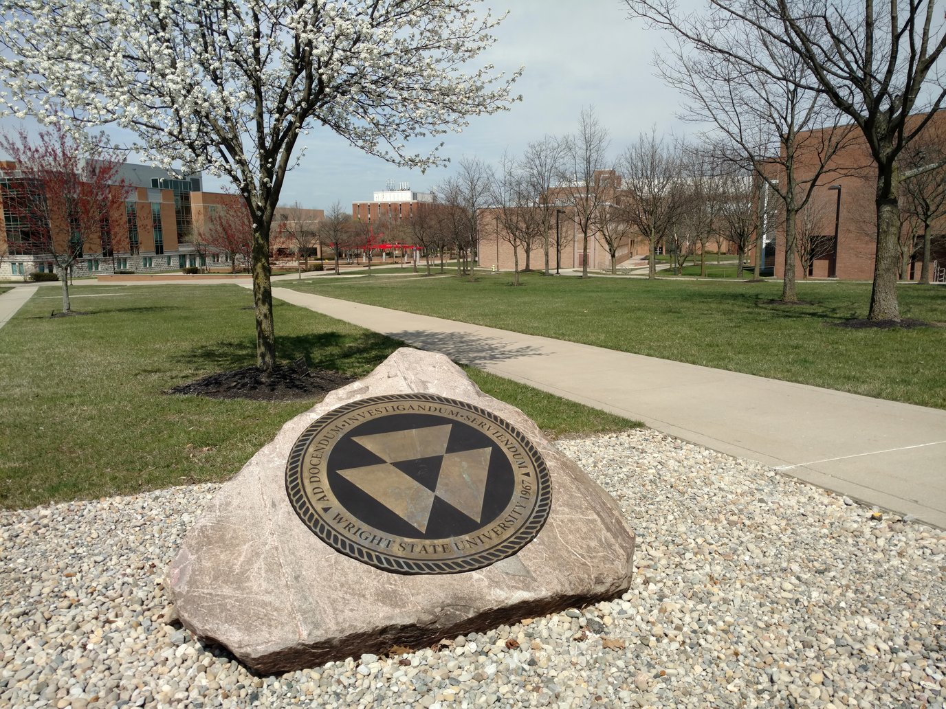 Your Expert Guide: Gemini Plaques