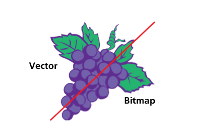Vector vs. Bitmap