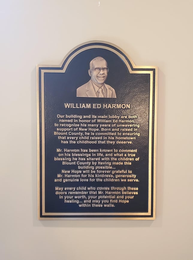 Your Expert Guide: Precision Plaques and Cast Plaques. What’s the ...