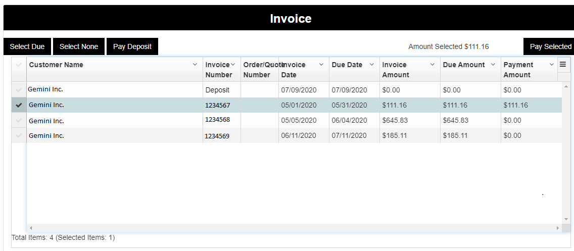 How to Make a Payment in the Online Payment Portal